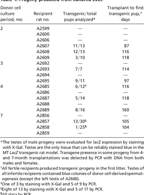 Table 1 From Conservation Of Spermatogonial Stem Cell Self Renewal
