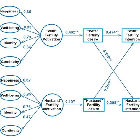 Actor Partner Interdependence Mediation Model Of Fertility Intention Download Scientific