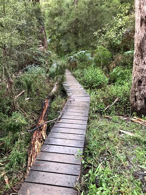 Warrandyte Goldfields Trail Navigator Victoria