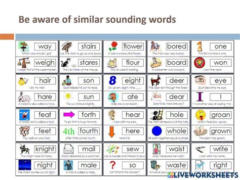 Similar Sounding Words Worksheet Live Worksheets