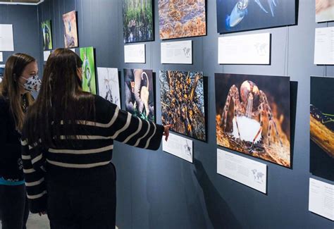 Natural History Museum Wildlife Photographer Of The Year Exhibition