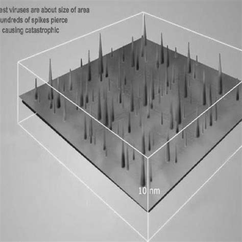 Schematic Sem Image Of An Antimicrobial Molecular Barrier Obtained By