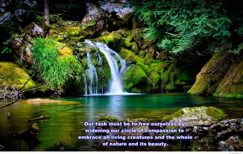 Cool Wallpapers With Quotes 67 Images
