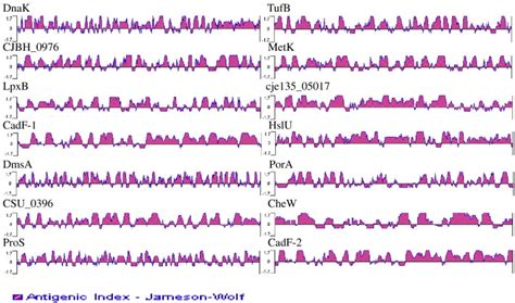 Antigenic Properties Of The In Vivo Induced Antigens Predicted Using A