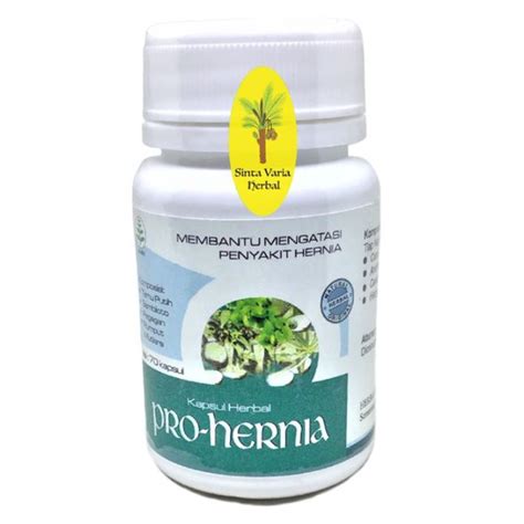 Pro Hernia Kapsul Prohernia Pgmall