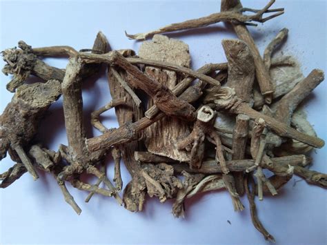 Envirium Life Sciences