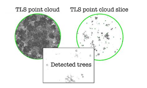 Individual Tree Extraction Picture Modified From Saarinen Et Al