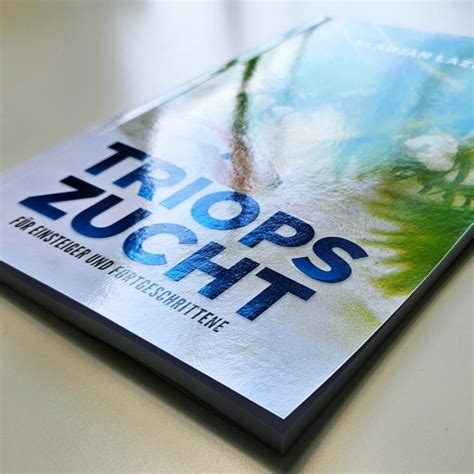 Triops Cancriformis European Triops Species Triops Galaxy