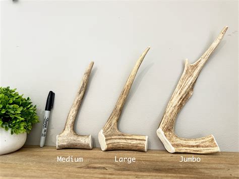 Deer Antler Dog Chews Premium Quality Tine And Beam Pieces All Sizes