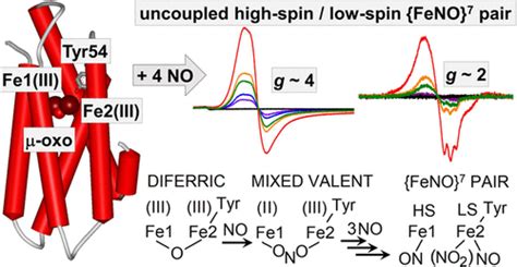 Spectroscopic Characterization Of A Diferric Mycobacterial Hemerythrin