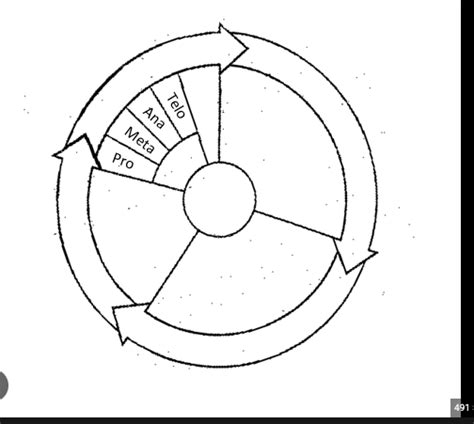 Bio Cell Cycle Test Diagram Quizlet