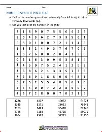 Number Search Puzzles