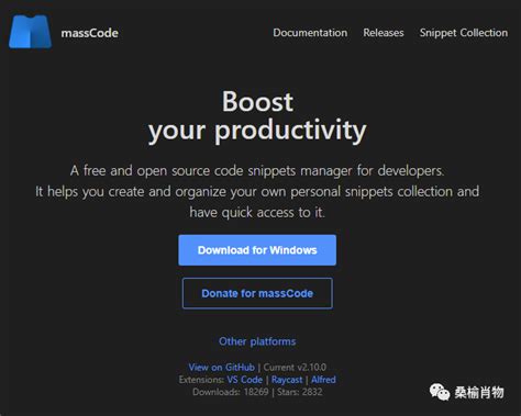 Masscode 一款优秀的开源代码片段管理器支持进行编辑器