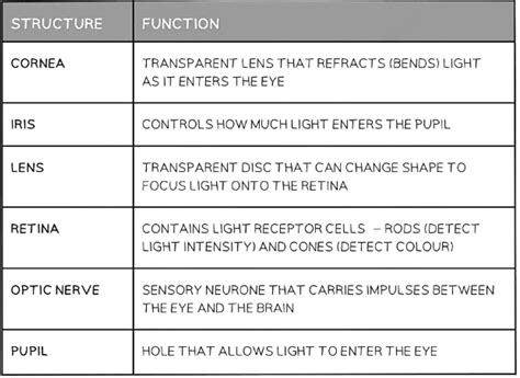 The Eye Biology For Gcse Igcse Class 10 Pdf Download