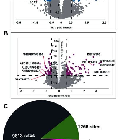 Global Proteome And Phosphoproteome Of Nact Resistant And Sensitive