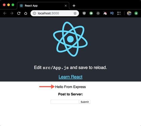 Como Fazer Com Que O Create React App Funcione Com Uma Api De Back End