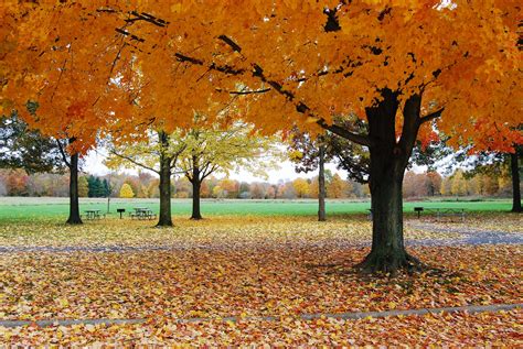 Ohio Supercomputer Center Ohio Supercomputer Center