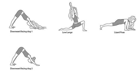 Tina Lackner The Digital Hub