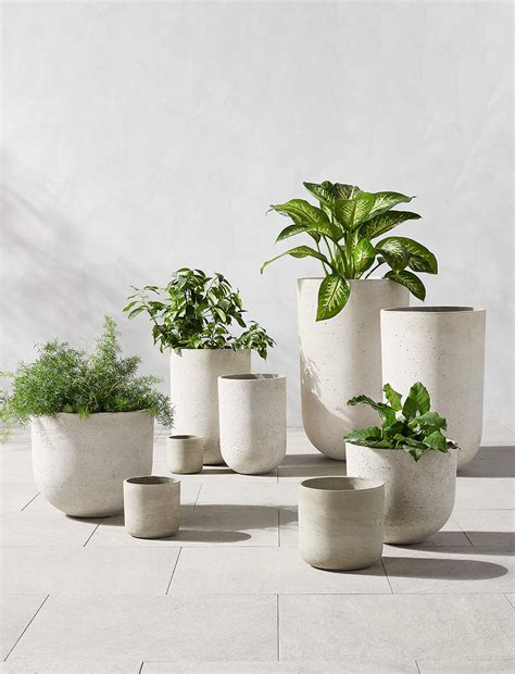 Best Sellers Cb2 Uae