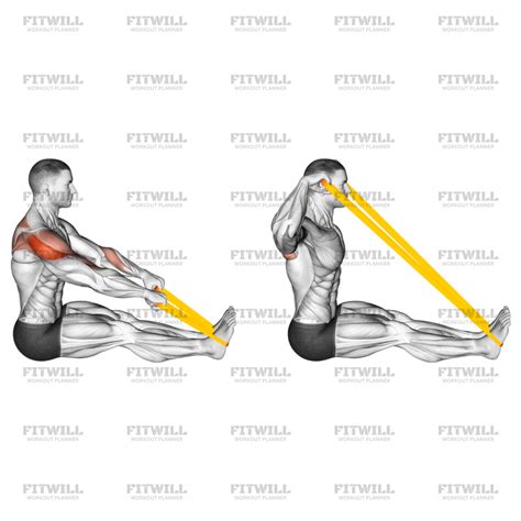 Resistance Band Seated Face Pull Exercise Guide Techniques Benefits