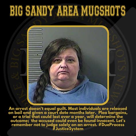 Cheryl Rogers Big Sandy Area Mugshots News