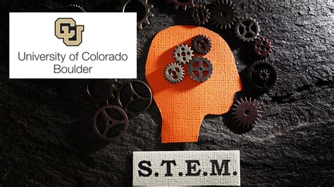 Course Implementation Of Phet Activities For Stem Education Riseupp