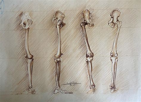 How To Draw Skeleton Legs