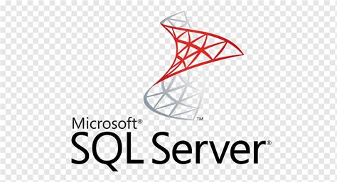 Microsoft Sql Server 컴퓨터 서버 Microsoft 각도 텍스트 로고 Png Pngwing