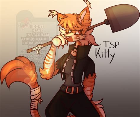 Tsp Kitty