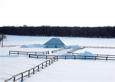 Meme Meadows Experimental House By Kengo Kuma And Associates