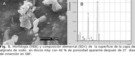 Determinación De La Bioactividad De Capas De Alginato De Sodio En Discos De Hidroxiapatita