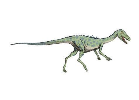 Noasaurus Learn About This Dinosaur Dinosaur Sounds