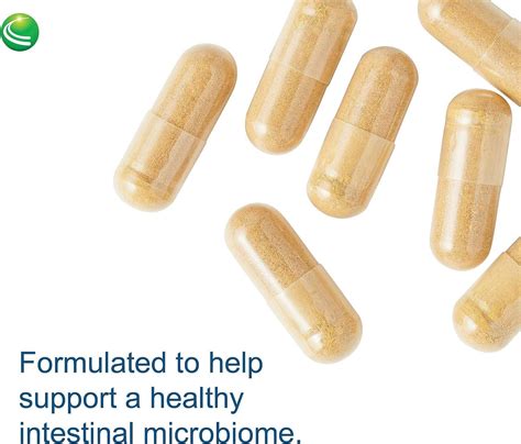 Parabiotic Plus Organic Neem Wormwood And Black Walnut 90 Capsules