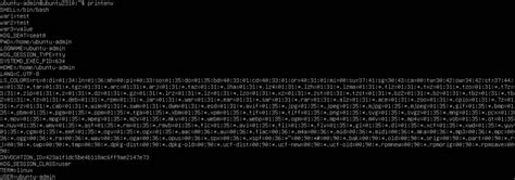 How To Manage Linux Environment Variables In 2025 Tips