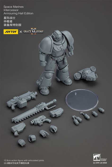 Space Marines Intercessor Armouring Hall Edition