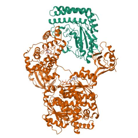 Rcsb Pdb 9qip Structure Of Uba6 Birc6 Cluster 4