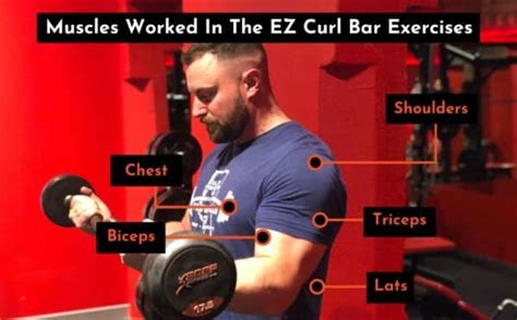 14 Best Curl Bar Exercises Plus Sample Workout