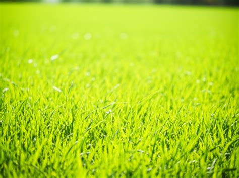 雇用保険｜加入条件 1ヶ月以内の雇用でも入れる？短期雇用の注意点 レールイン