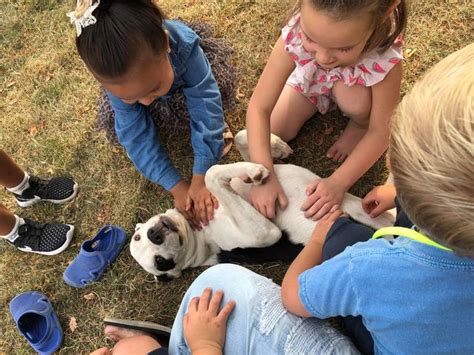 Gallery Tiny Tots Early Learning