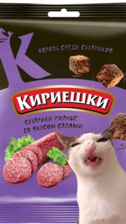 Кот ест кириешки Youtube