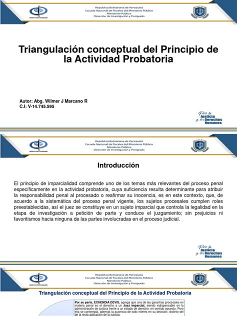 Exposición De Triangulación Conceptual Del Principio De La Actividad