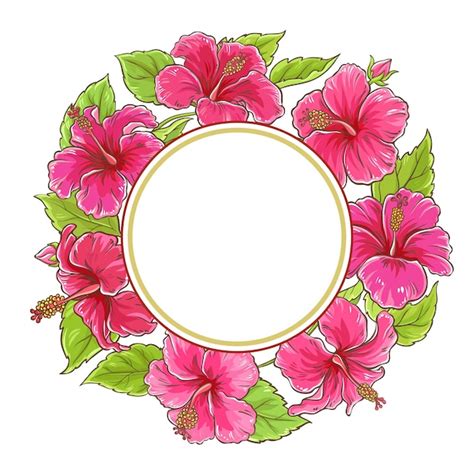 Premium Vector Hibiscus Flowers Vector Frame On White Background