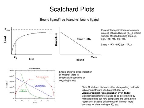 Ppt Protein Function And Evolution Powerpoint Presentation Free