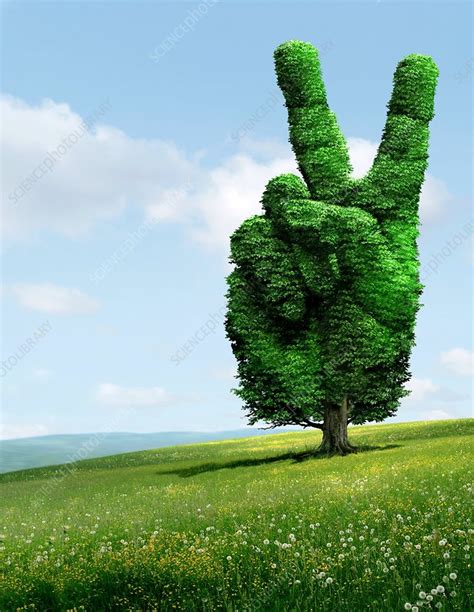 Environmentally Friendly Artwork Stock Image C0068461 Science