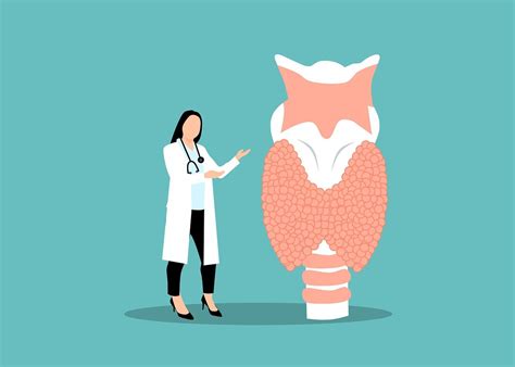 Understanding Thyroid Transplant A Comprehensive Overview Wellness