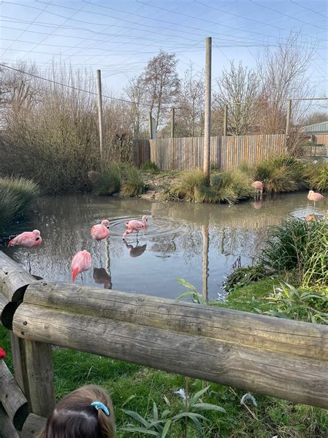 Tiny Turtles Nursery