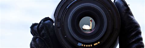 How To Get The Node With The Focus In Godot Dev Journey A Place I Share My Development