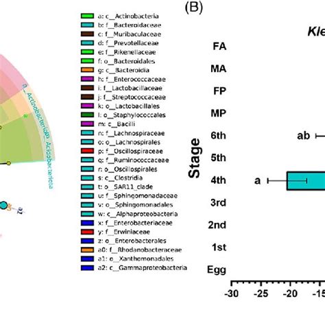 Significant Difference Analysis Of The Microorganism Community Download Scientific Diagram