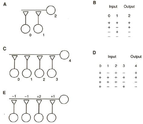 4 Learning In Pdp Models The Pattern Associator