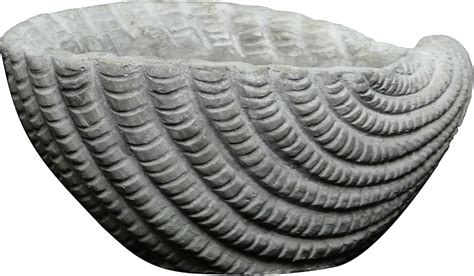 Indoor Outdoor Cement Succulent Sea Shell Planter Gray 5